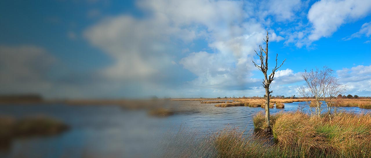 Advanced Telemetry Systems - Fish and Wildlife Tracking Solutions